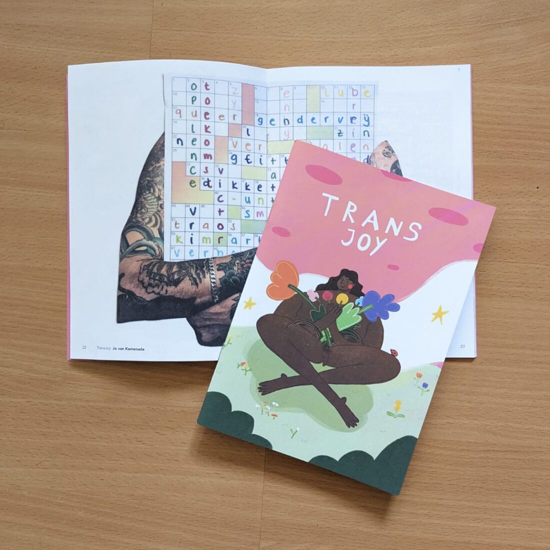 pride zine - TRANS